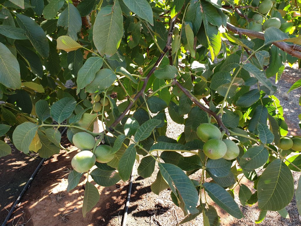 Testimonials - Calder Permaculture